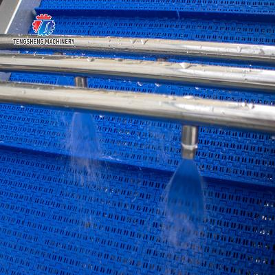 China 2.6KW Impurity Filter Fruit And Vegetable Washing Machine Citrus Apple for sale