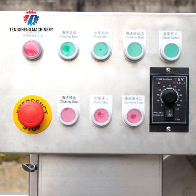 China SUS304 Ozone Treatment  Fruit And Vegetable Washing Machine Cherry Tomato for sale