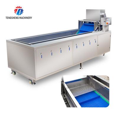 China Lavadora comercial del ozono del vórtice de la lavadora de la fruta y verdura 240KG de la lavadora vegetal de la burbuja en venta
