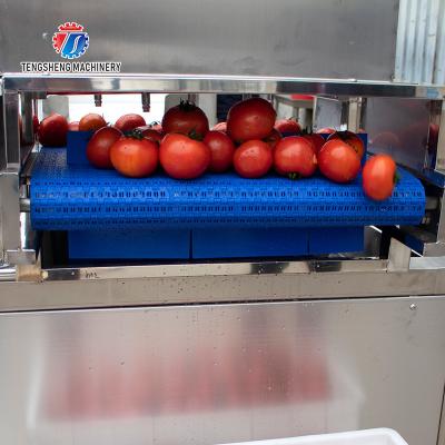 China 240KG Cleaning machine manufacturers supply multi-functional bubble spray cleaning machine washing machine for sale