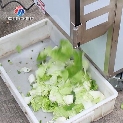 China 180KG Large canteen commercial potato slicing multi-functional single head vegetable leaf slicing machine made in Taiwan for sale