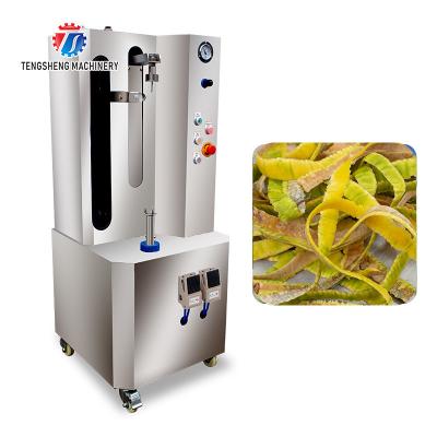 China 1.0KW 90KG Small pumpkin peeler commercial white gourd pineapple single head peeler large automatic peeler to peel for sale