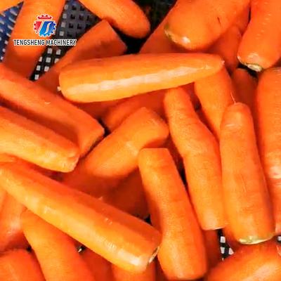 中国 タイプ自動皮をむく機械の皮をむく手動皮をむくナイフをまねる110KG商業赤いにんじんの皮をむく機械 販売のため