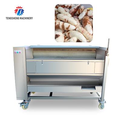 China Hair Stick Peeling Cleaning Machine Brush Type Ginger Cleaning Machine for Potato for sale
