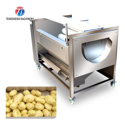 중국 기계 브러쉬 세정 기계를 청소하고 박리시키는 250KG 당근 솔 판매용