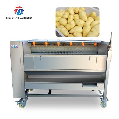 중국 기계 타로토란 박리장비 멀티 기능 편자 모양 헤어 롤러 크리닝 장치를 박리시키는 포테이토 세정 판매용