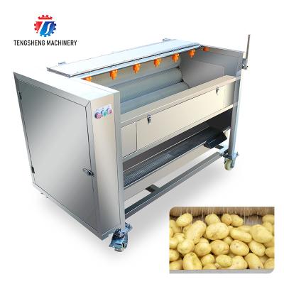 중국 기계 매체를 씻는 다중 기능적 과일은 무 기계를 씻는 연근을 분류했습니다 판매용