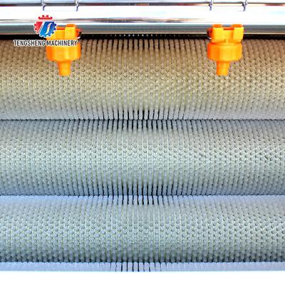 China Multi Funktionsfrucht-Waschmaschine mittelgroße Lotus Root Washing Radish Machine zu verkaufen