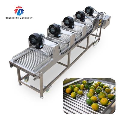 Cina Macchina asciugante all'ariasi parallela asciugante all'ariasi della macchina della frutta e di verdura di 350KG 380V grande in vendita