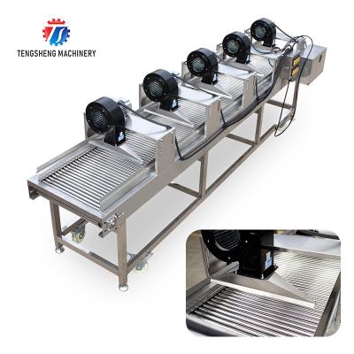 China 380V Normal Temperature Air Drain Air Dryer Bagged Food Dehydrating Equipment for sale