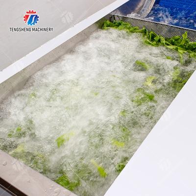 China Single tank vegetable washing machine Fruit Orange Vegetable Leaves Vegetables sward beans  soybeans  green beans  Onions Herbs Wash Washer Washing Cleaning processing production for sale