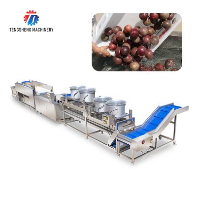 China Revolutionize Your Production Process with Our Fruit And Vegetable Processing Line for sale