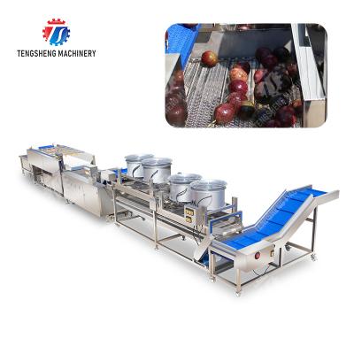 China Revolutionize Your Production Process with Our Fruit And Vegetable Processing Line for sale