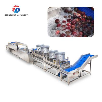China Revolutionize Your Production Process with Our Fruit And Vegetable Processing Line for sale
