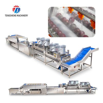 China Revolutionize Your Production Process with Our Fruit And Vegetable Processing Line for sale