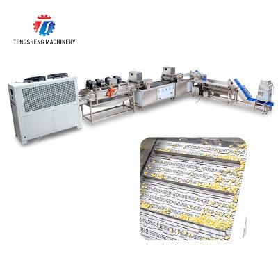 China Streamline Your Manufacturing Process with Our Advanced Fruit And Vegetable Processing Line for sale