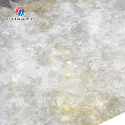 China Streamline Your Manufacturing Process with Our Advanced Fruit And Vegetable Processing Line for sale