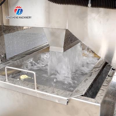 China Streamline Your Manufacturing Process with Our Advanced Fruit And Vegetable Processing Line for sale