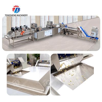 China Streamline Your Manufacturing Process with Our Advanced Fruit And Vegetable Processing Line for sale