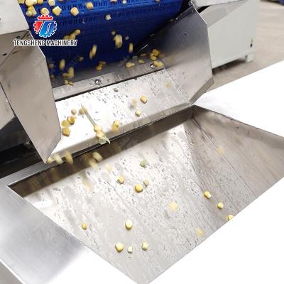 China Streamline Your Manufacturing Process with Our Advanced Fruit And Vegetable Processing Line for sale