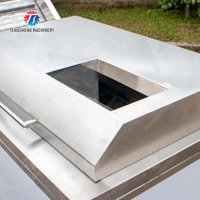 China Streamline Your Manufacturing Process with Our Advanced Fruit And Vegetable Processing Line for sale