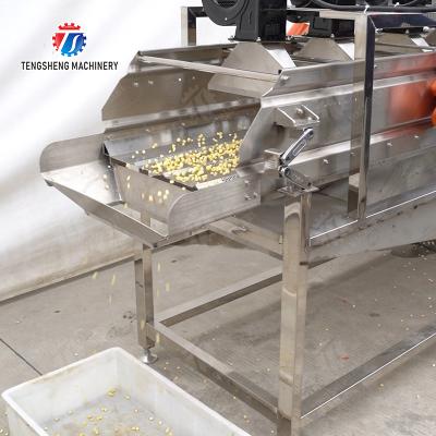China Streamline Your Manufacturing Process with Our Advanced Fruit And Vegetable Processing Line for sale