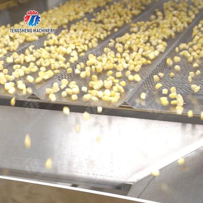 China Streamline Your Manufacturing Process with Our Advanced Fruit And Vegetable Processing Line for sale