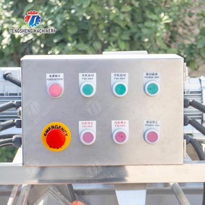 China Streamline Your Manufacturing Process with Our Advanced Fruit And Vegetable Processing Line for sale