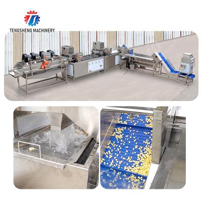 China Streamline Your Manufacturing Process with Our Advanced Fruit And Vegetable Processing Line for sale