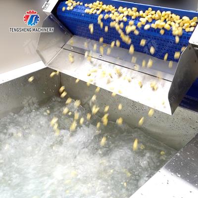 China Streamline Your Manufacturing Process with Our Advanced Fruit And Vegetable Processing Line for sale