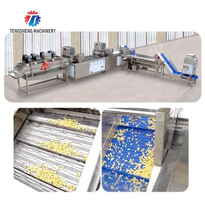 China Streamline Your Manufacturing Process with Our Advanced Fruit And Vegetable Processing Line for sale