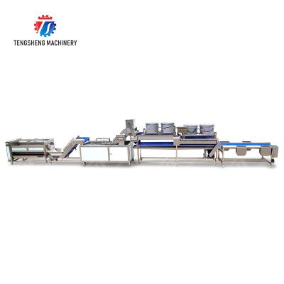 China Enhance Your Production with Our State-of-the-Art Fruit And Vegetable Processing Line fruit and vegetable processing machinery for sale