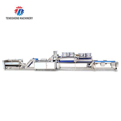China Enhance Your Production with Our State-of-the-Art Fruit And Vegetable Processing Line fruit and vegetable processing machinery for sale