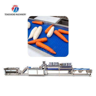 China Enhance Your Production with Our State-of-the-Art Fruit And Vegetable Processing Line fruit and vegetable processing machinery for sale