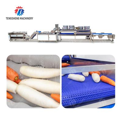 China Enhance Your Production with Our State-of-the-Art Fruit And Vegetable Processing Line fruit and vegetable processing machinery for sale