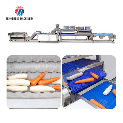 China Enhance Your Production with Our State-of-the-Art Fruit And Vegetable Processing Line fruit and vegetable processing machinery for sale