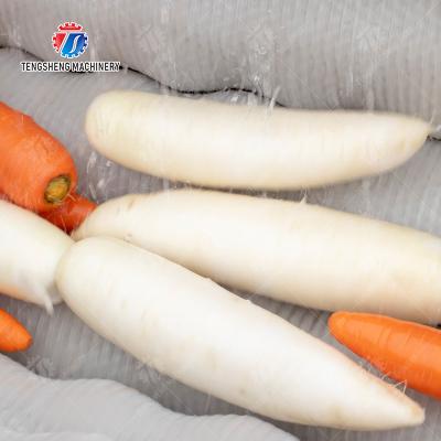 China Enhance Your Production with Our State-of-the-Art Fruit And Vegetable Processing Line fruit and vegetable processing machinery for sale