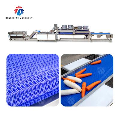 中国 果物と野菜のローラーバブル洗浄・エアードライ選別ライン 販売のため