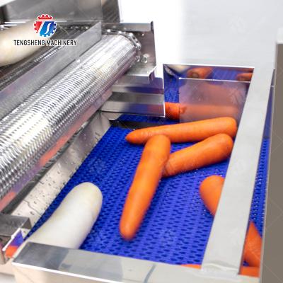 China Enhance Your Production with Our State-of-the-Art Fruit And Vegetable Processing Line fruit and vegetable processing machinery for sale