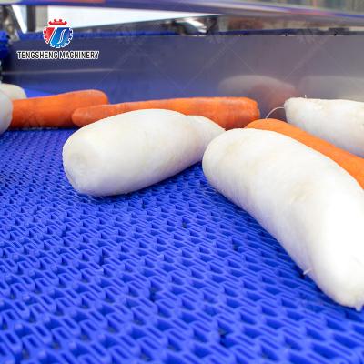 China Enhance Your Production with Our State-of-the-Art Fruit And Vegetable Processing Line fruit and vegetable processing machinery for sale