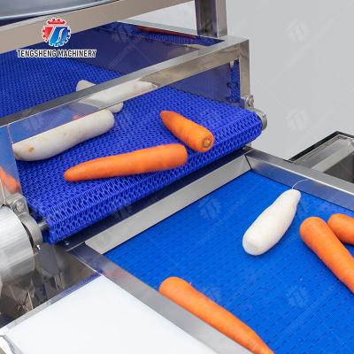 China Enhance Your Production with Our State-of-the-Art Fruit And Vegetable Processing Line fruit and vegetable processing machinery for sale