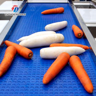 China Enhance Your Production with Our State-of-the-Art Fruit And Vegetable Processing Line fruit and vegetable processing machinery for sale
