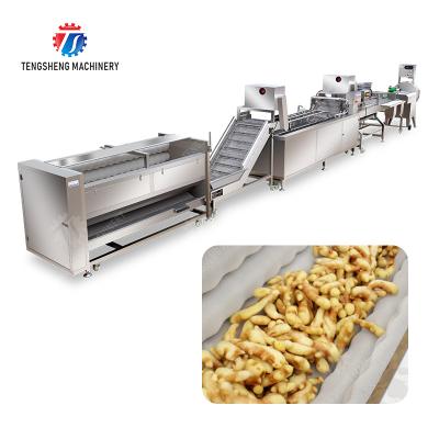 China Brush bubble cleaning, drying, selection and cutting production line Revolutionize Your Food Production with Our State-of-the-Art Fruit And Vegetable Processing Line for sale