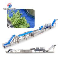 China 1500KG/H Fruit And Vegetable Processing Line cleaning Sorting Machine for sale