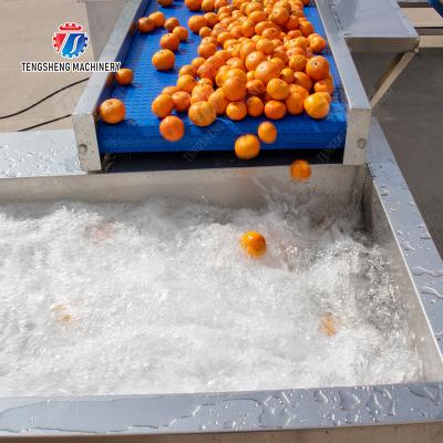 China vegetable drying equipment	Fruit and vegetable selection  washing and drying production line Fruit Vegetable FOOD processing production Machine fruit juice processing machines for sale