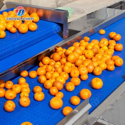 China vegetable drying equipment	Fruit and vegetable selection  washing and drying production line Fruit Vegetable FOOD processing production Machine fruit juice processing machines for sale