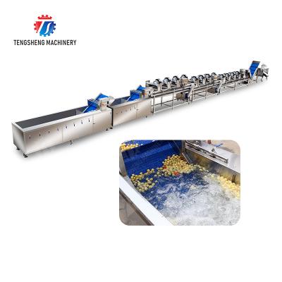 中国 オレンジポテト  ジャガイモ 丸い塊茎作物 ニンジンと縦長の根菜 玉ねぎ キャベツの品種 果実野菜 大規模な果物と野菜の洗浄、乾燥、切断生産ライン 販売のため