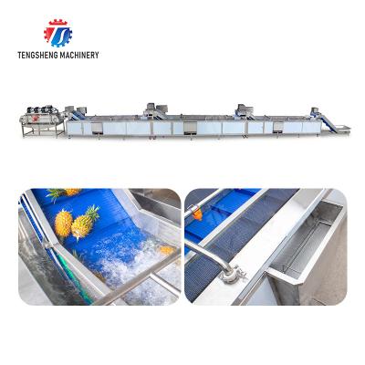 China vegetable wash line pineapple juice processing line Pineapple bubble washing and vibrating air-drying line fruit processing machinery pineapple processing line for sale