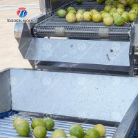 China 380V Fruit And Vegetable Processing Line Fully Automatic Cleaning Drying Grading for sale