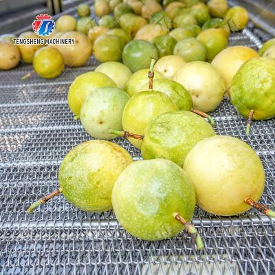 China Obst- und Gemüse380v Produktlinie-vollautomatisches trocknendes Reinigungsc$ordnen zu verkaufen